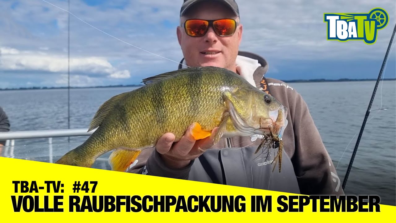 TBA TV: Team Boddenangeln #47 | Volle Raubfischpackung im September ...