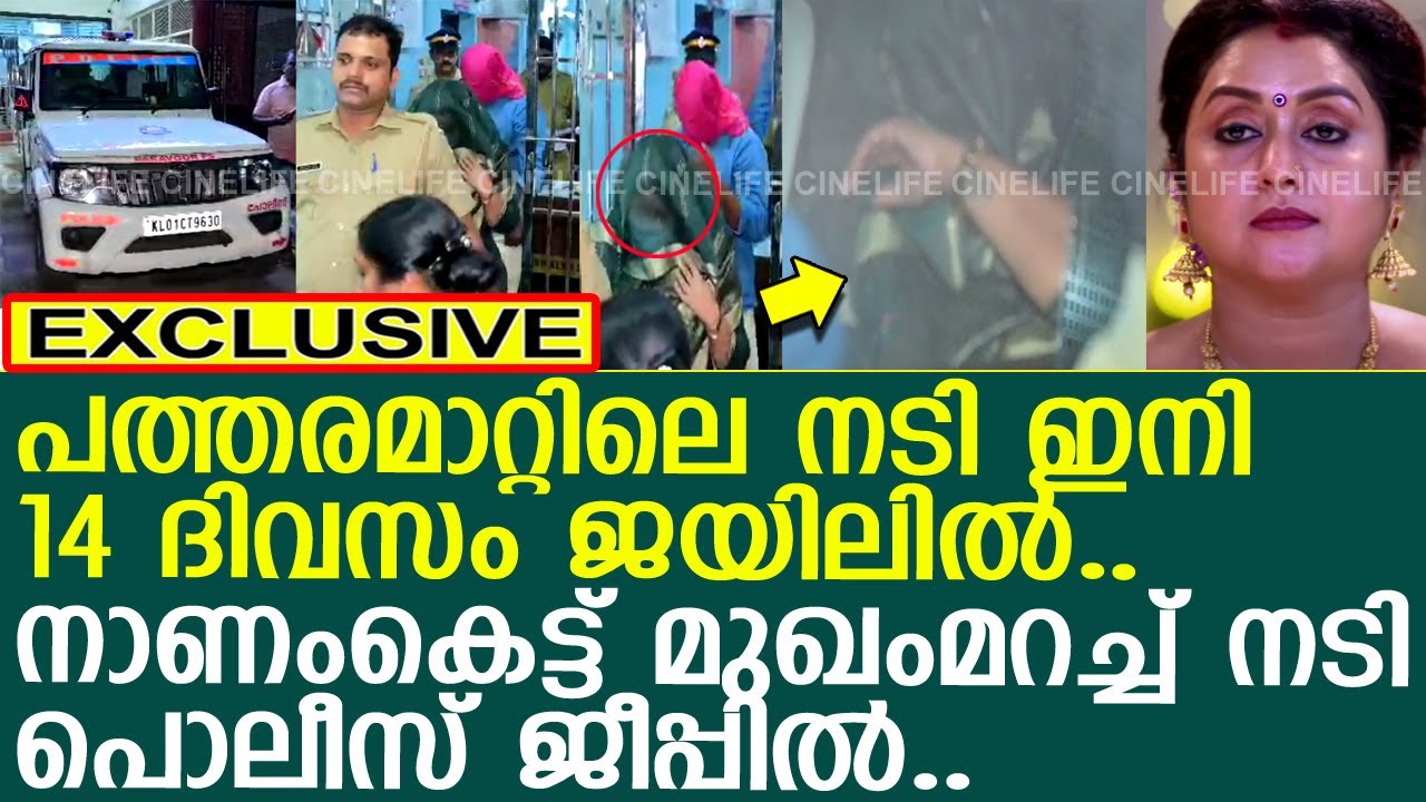 പത്തരമാറ്റിലെ നടി ഇനി 14 ദിവസം ജയിലില്‍..!! l Nithya Sai - YouTube