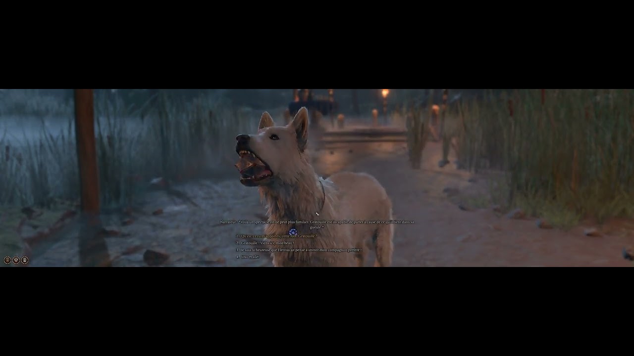 (32:9) 5120x1440 : Baldur's Gate 3 : Owl bear + Scratch + Shadowheart ...