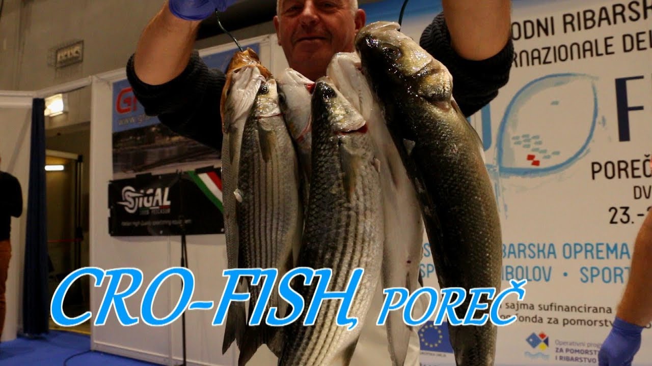 CRO FISH - Poreč 2018- HRT MORE - YouTube