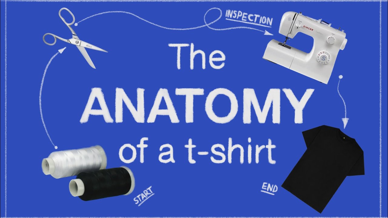 The ANATOMY Of A T-Shirt - YouTube