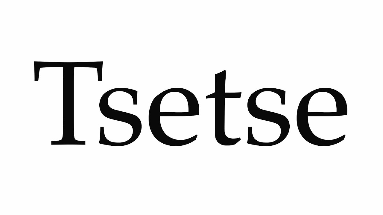How to Pronounce Tsetse - YouTube