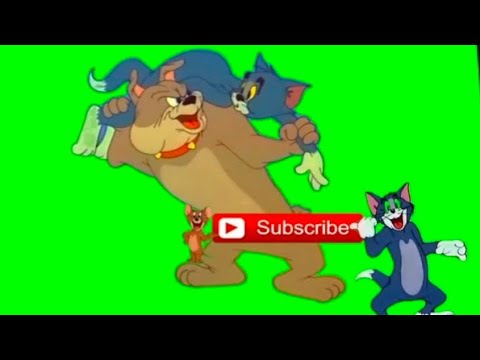Green Screen Cartoon Tom and Jerry | Tom and Jerry Green Screen | Green ...