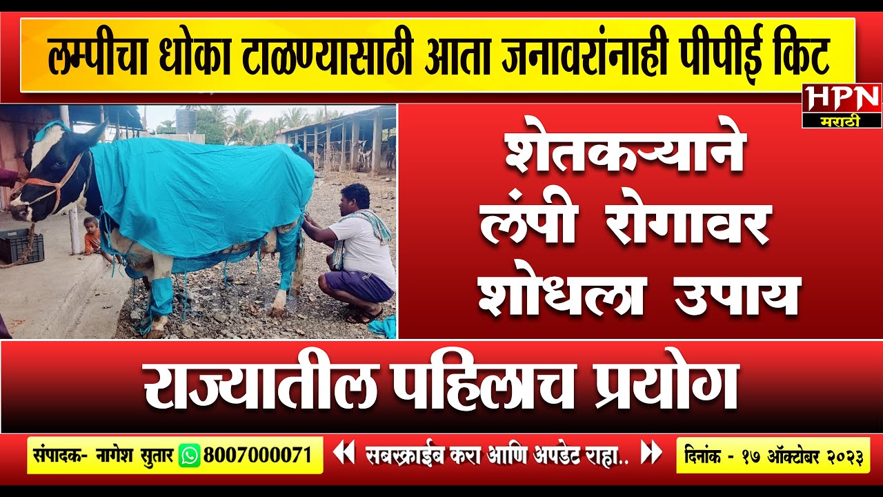 Lumpy Skin Disease PPE Kit शेतकऱ्याने लंपी रोगावर शोधला उपाय; जनावरांना ...