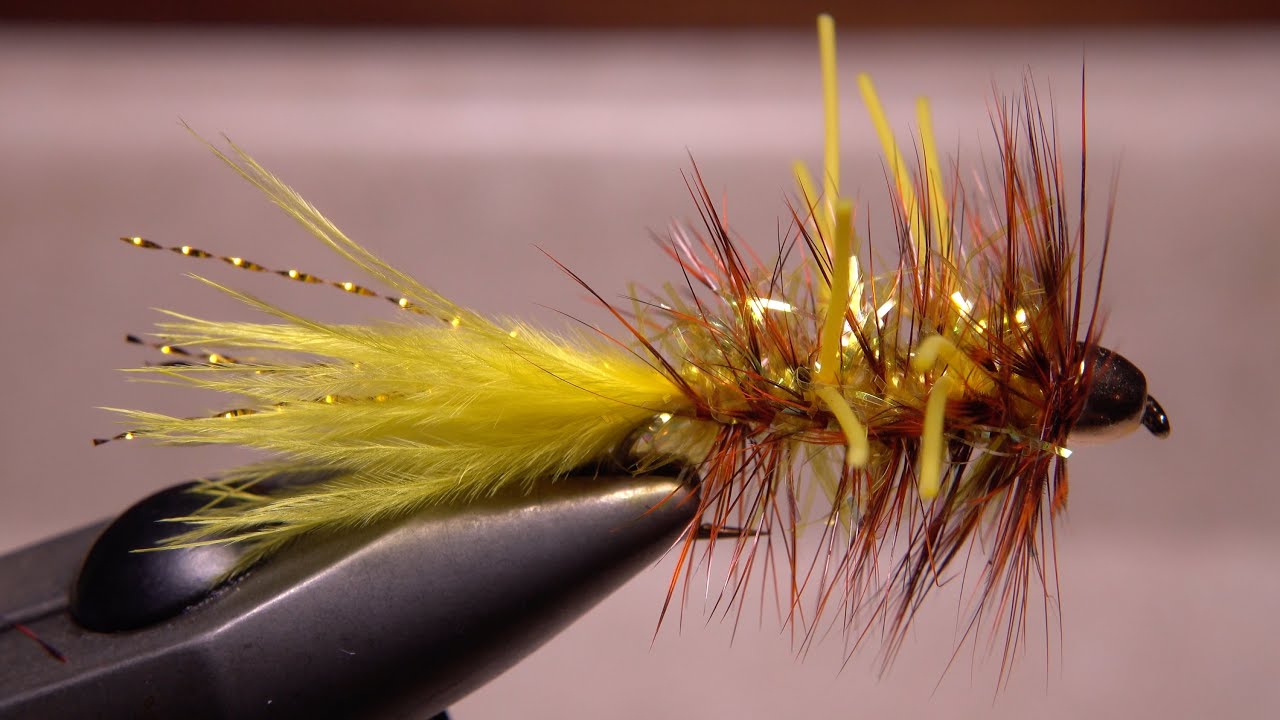 Autumn Splendor - YouTube