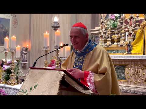 Zuppi: Omelia per Santa Maria della Vita