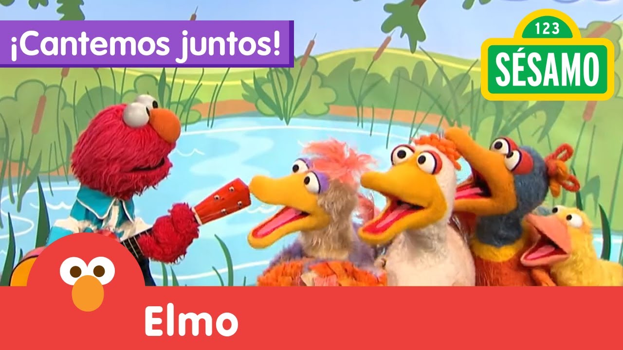 Plaza Sésamo: Elmo y sus amigos patitos - ¡Cantemos juntos! - YouTube