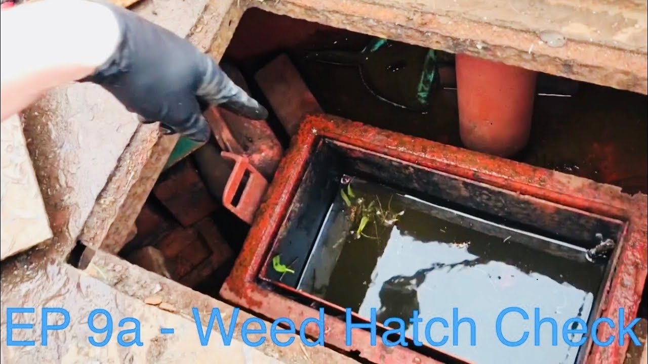 EP 9a Weed Hatch Check - YouTube