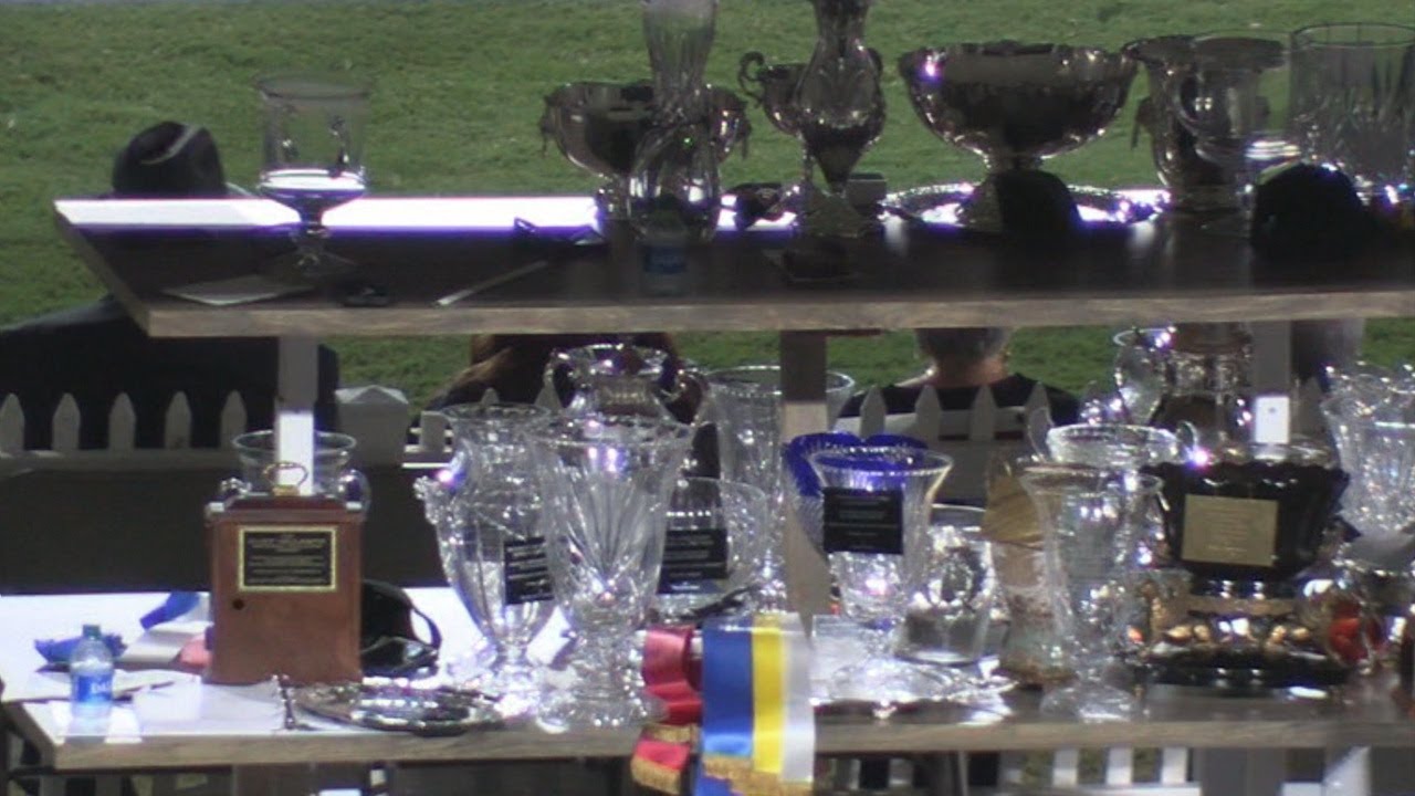 2023 TWHNC TENNESSEE WALKING HORSE WORLD GRAND CHAMPIONSHIP - YouTube