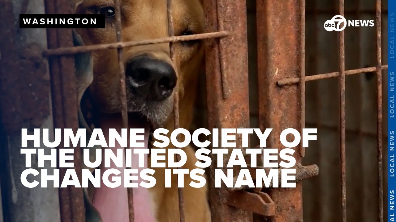 Humane Society of the United States changes its name to Humane World ...