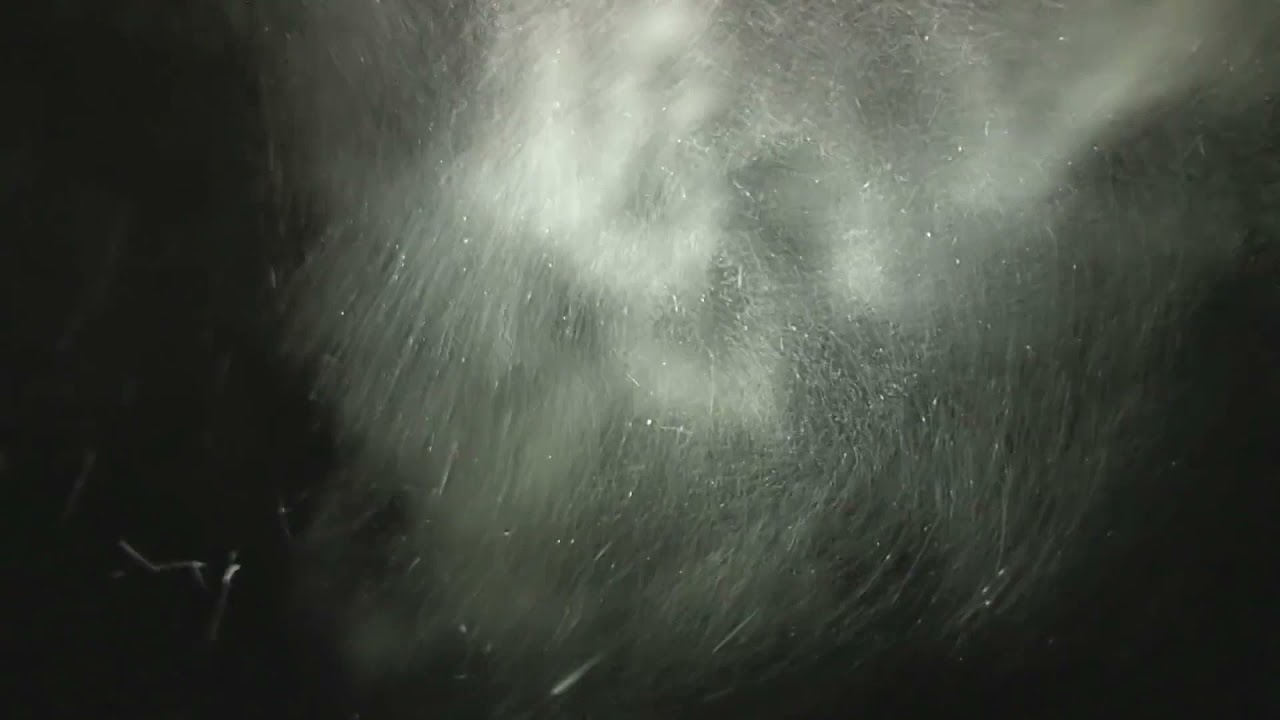 Snow Flurry at Night Free Background Videos, Motion Graphics, No ...