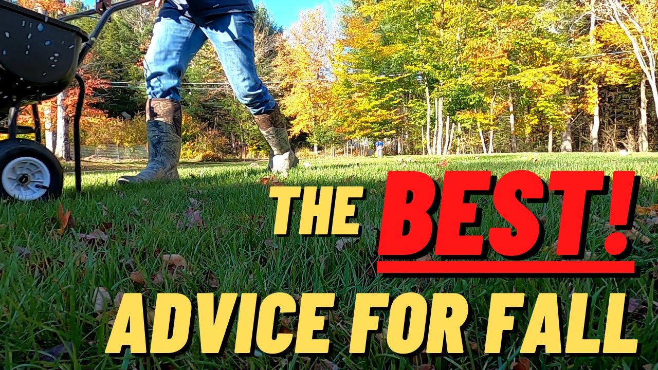 3 Step Guide to Fall Lawn Care - YouTube