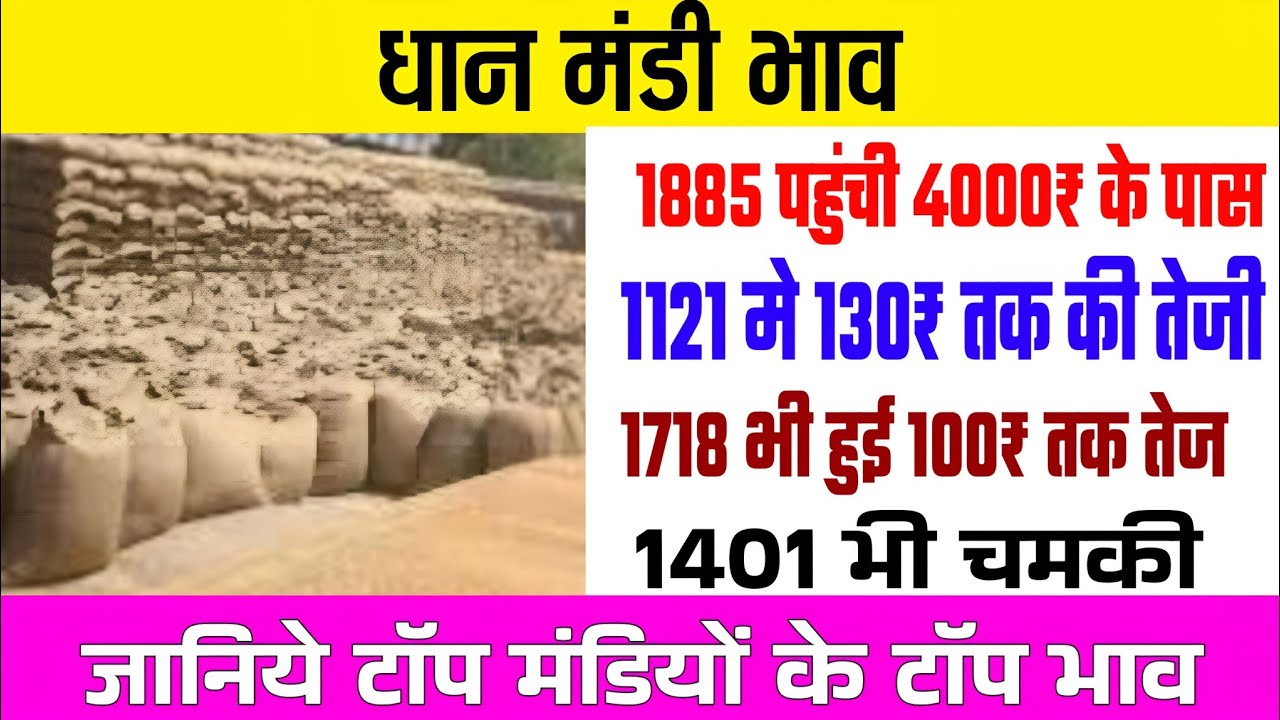 धान मंडी भाव | dhan Mandi Bhav Today Up Anaj Mandi Ka Taza Bhav Top ...