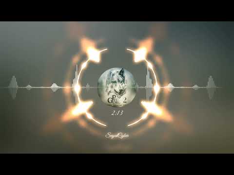 مهراب - گرگ پدر 2  Mehrab - Gorg Pedar 2