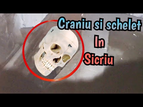 💀Craniu si SCHELET IN SICRIU !👻 REAL ! HORROR + CEVA RANDOM - YouTube