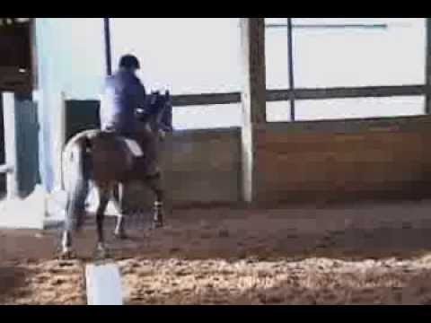George Morris Riding - YouTube
