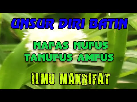 UNSUR DIRI BATIN NAFAS NUFUS TANUFUS AMFUS ILMU MAKRIFAT