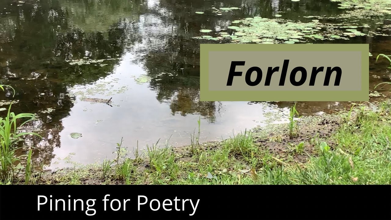 Pining for Poetry; Forlorn. Poem by Tere Carandell Sarabia - YouTube