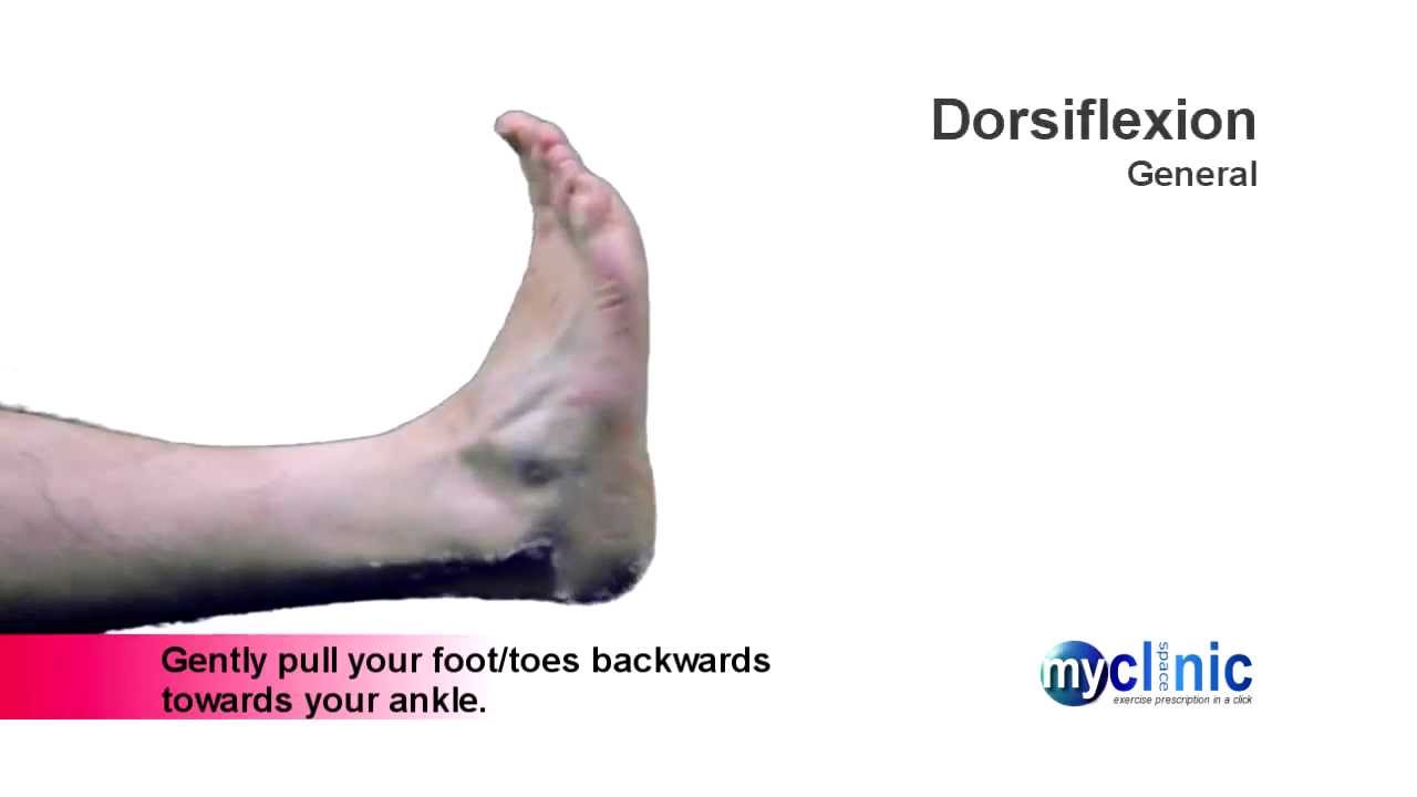 Ankle Series - Dorsiflexion - YouTube