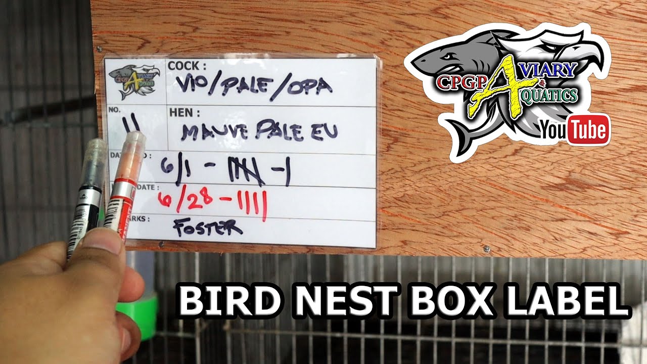 D.I.Y. NEST BOX LABELS - YouTube