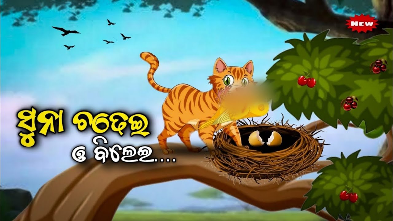 ସୁନା ଚଢ଼େଇ ଓ ବିଲେଇ - Suna chadhei O bilei / birds and cat / Odia Gapa ...