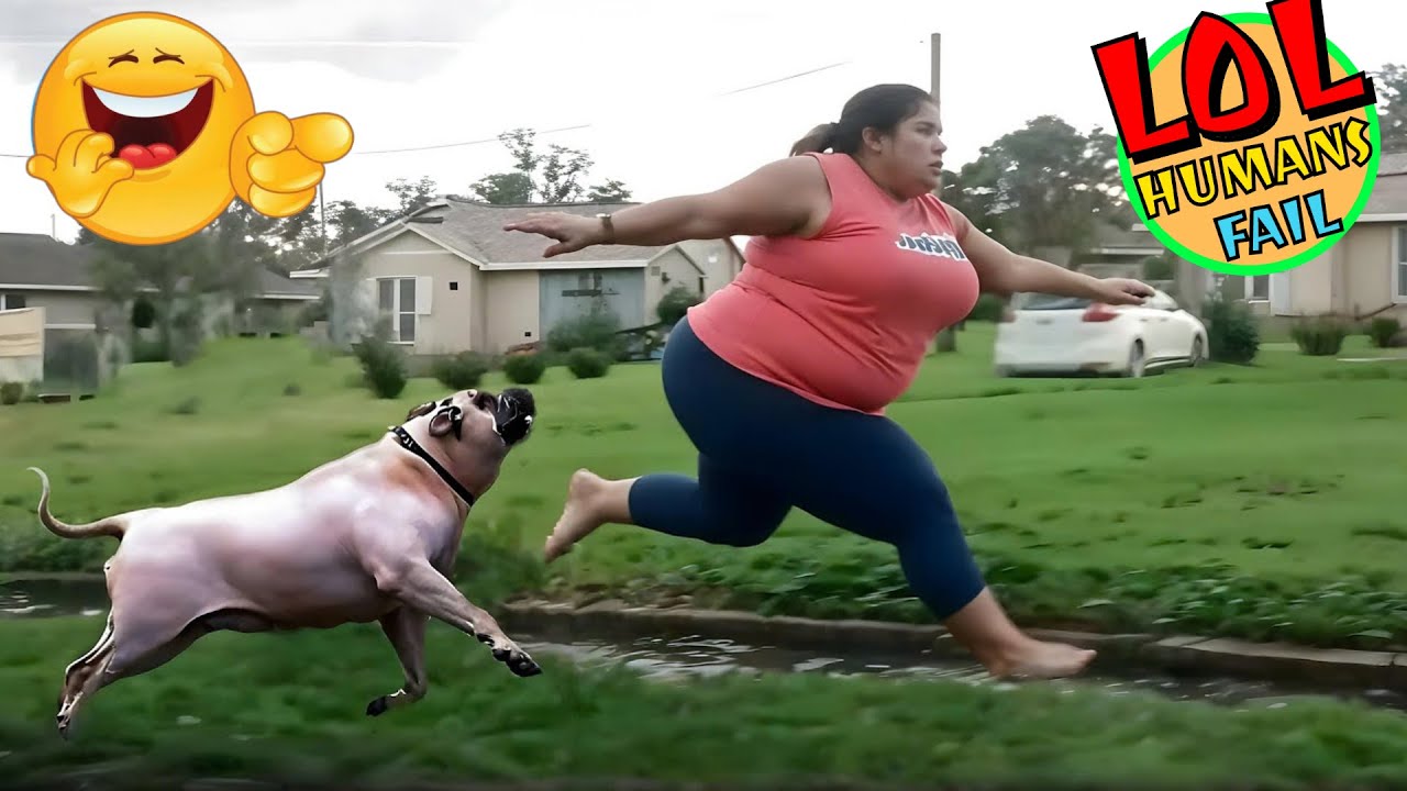 fails of the week - Try not to Laugh #11 Funny Fails compilation 2025 ...