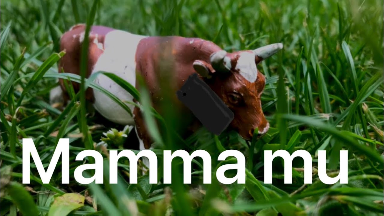 Mamma Mu sång (med text) | Vi har fått en konstig ko | Mamma Mu sånger ...