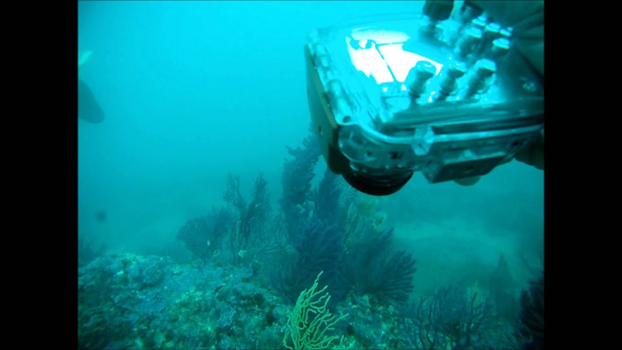 immersione santo stefano a mare - YouTube