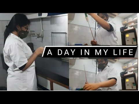 A day in my life |A life as a lab tech |A day in the life of a medical ...