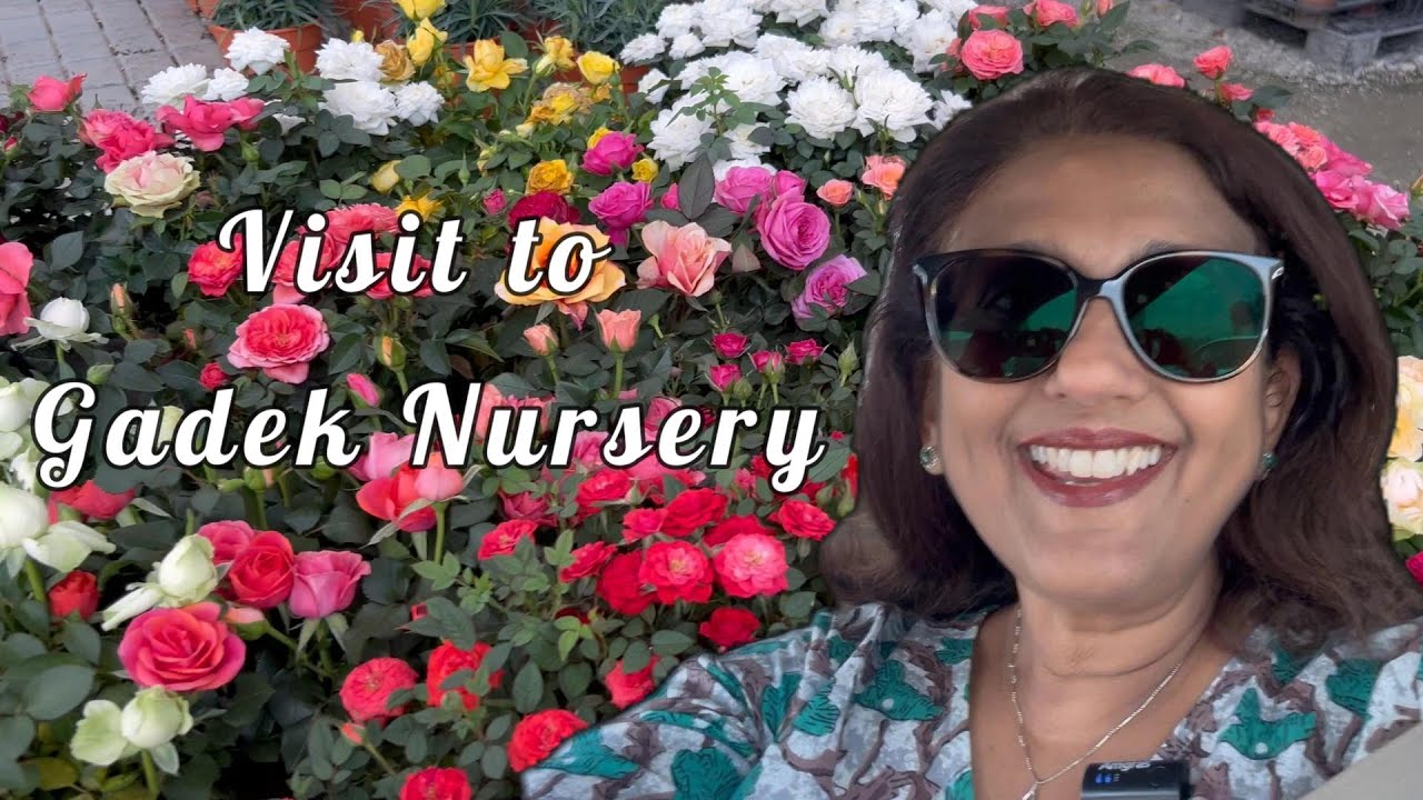 Visit to Gadek Nursery - YouTube