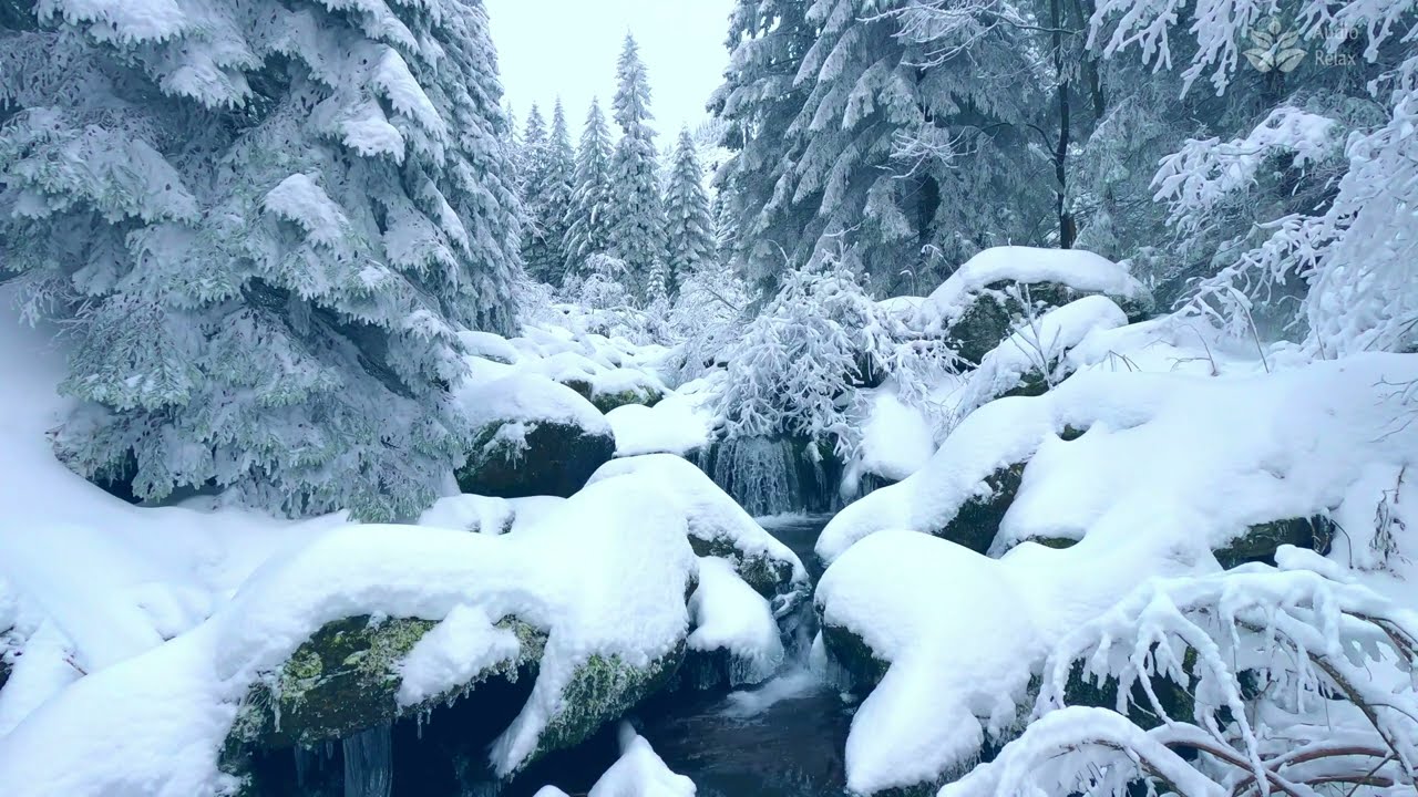 Calming Winter Ambience. Calming River Flowing in Snowy Forest ...