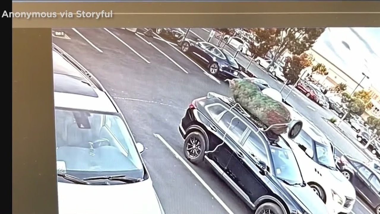 Caught on camera: Thief steals Christmas tree off parked SUV in San ...