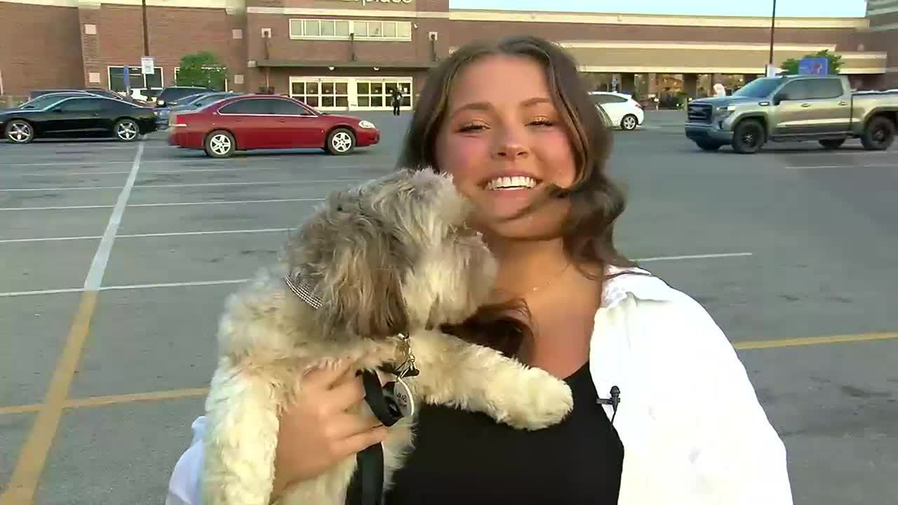 Paws for Pets - YouTube