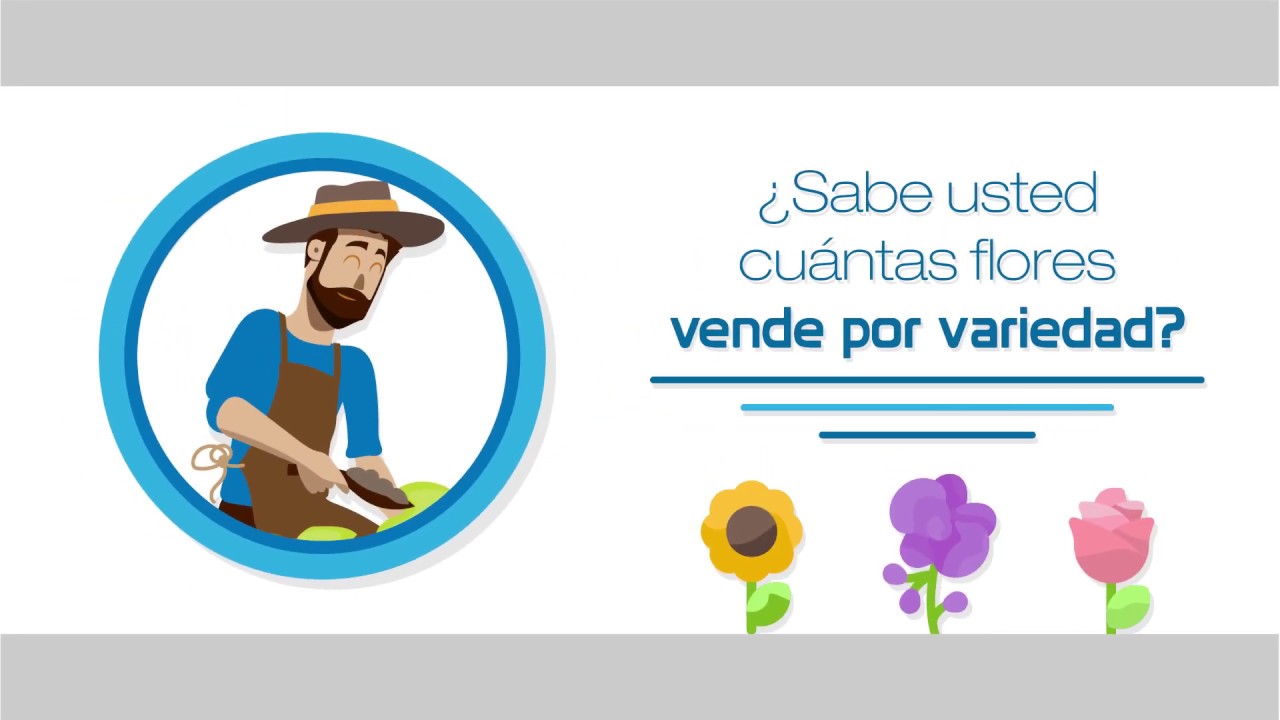 Webflor Software para gestion de produccion de cultivos de flores - YouTube