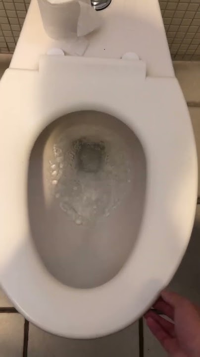 フラッシュバルブ音がでかい TOTO C480 - YouTube