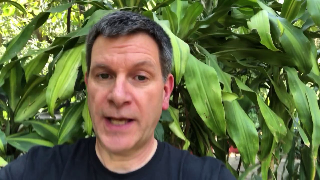 Preview of Create Influence, on Demand | Bernie Maloney | Better ...