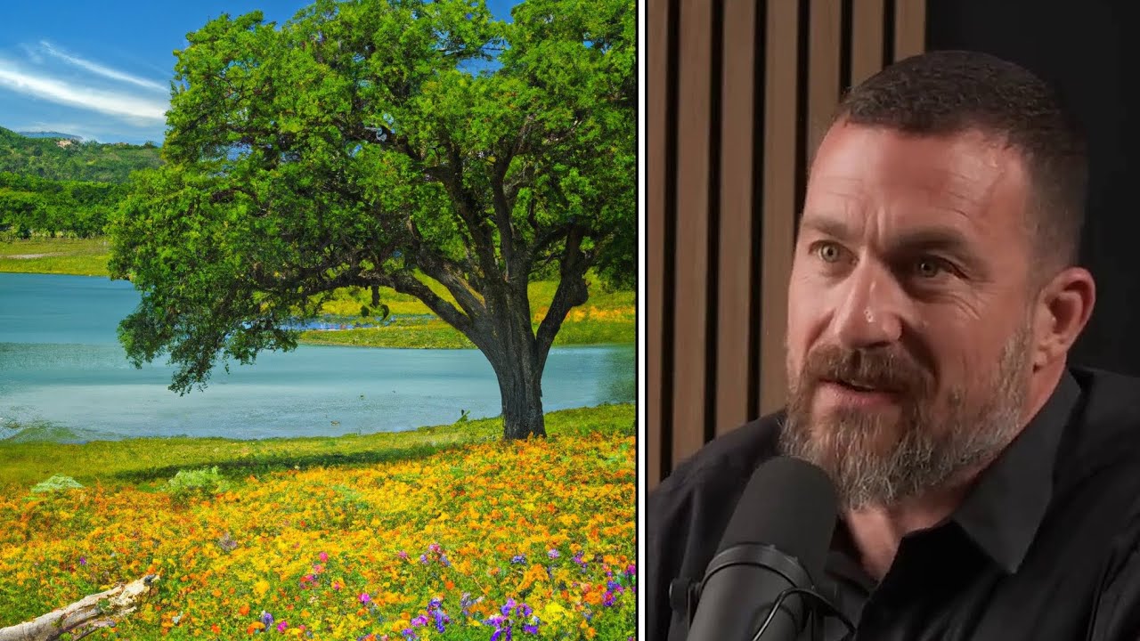 Is Being Present the Secret to Happiness? | Huberman Clips - YouTube