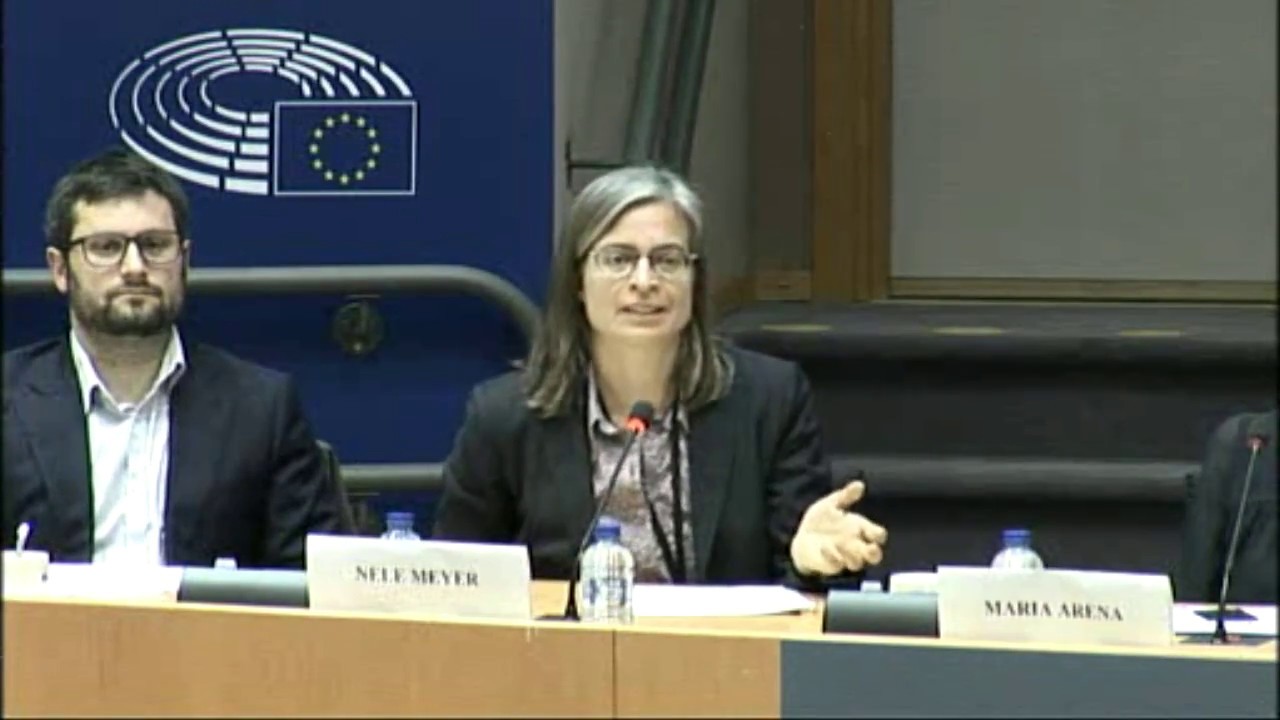 Human Rights & Business EP Event: Nele Meyer, Amnesty International ...