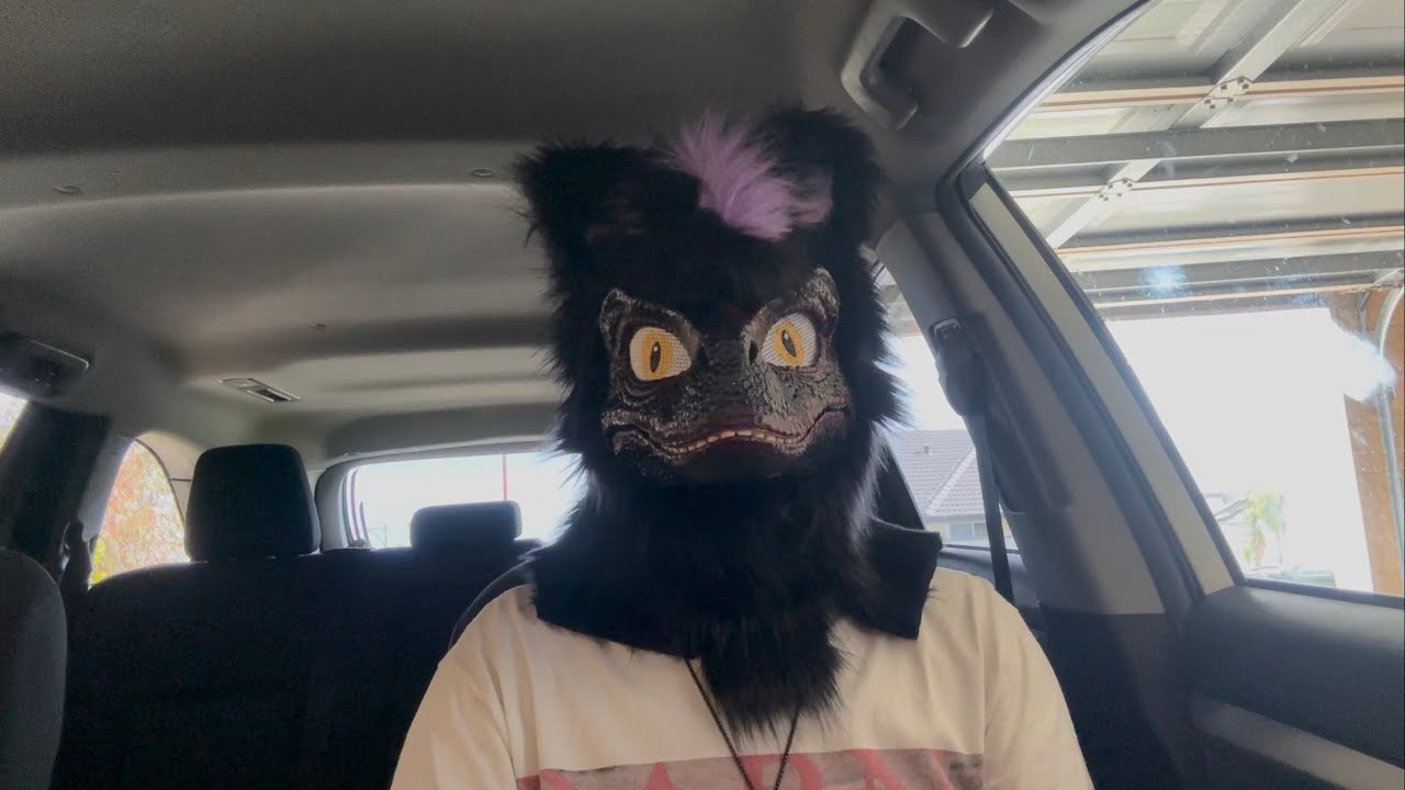 I’m Sorry For Yelling At You — I Now Admit I’m A Furry - YouTube