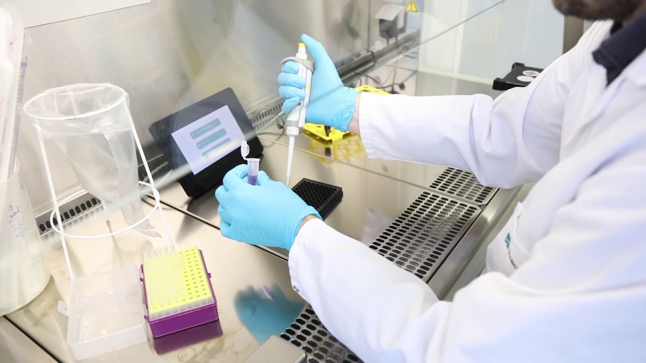 Connectivity in Laboratory - YouTube