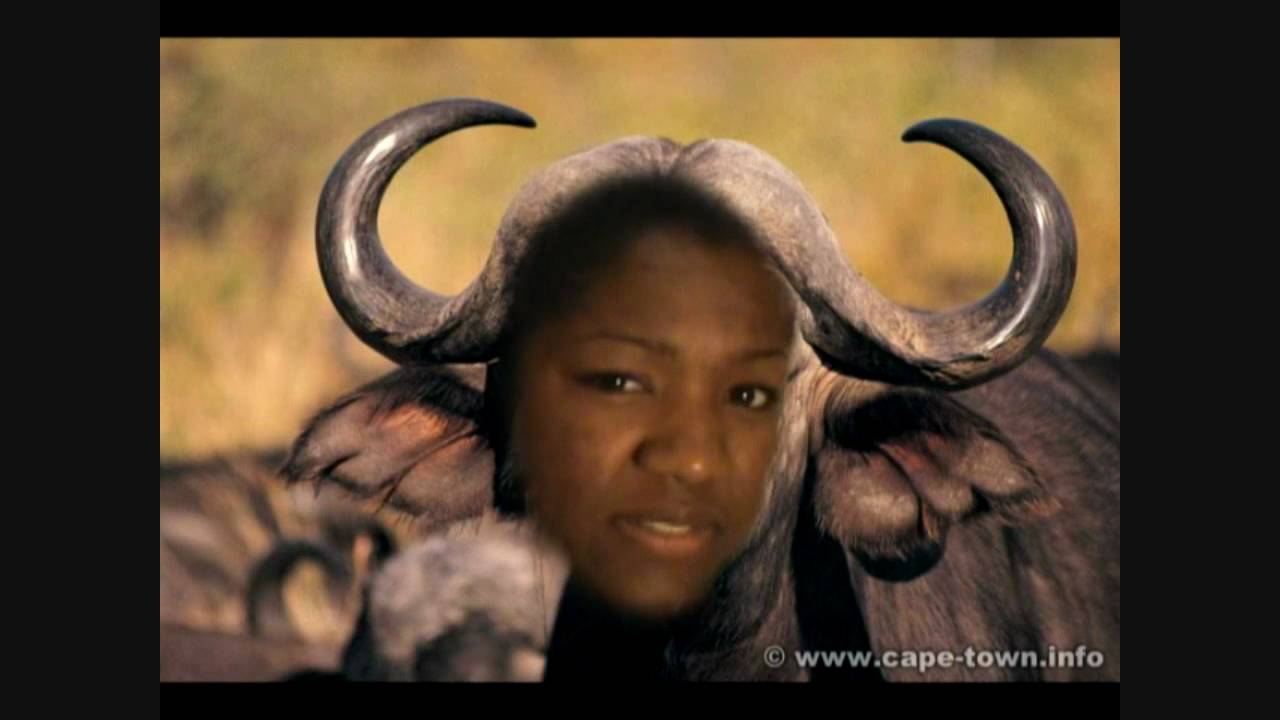 Not one of us - Lion King 2 - YouTube