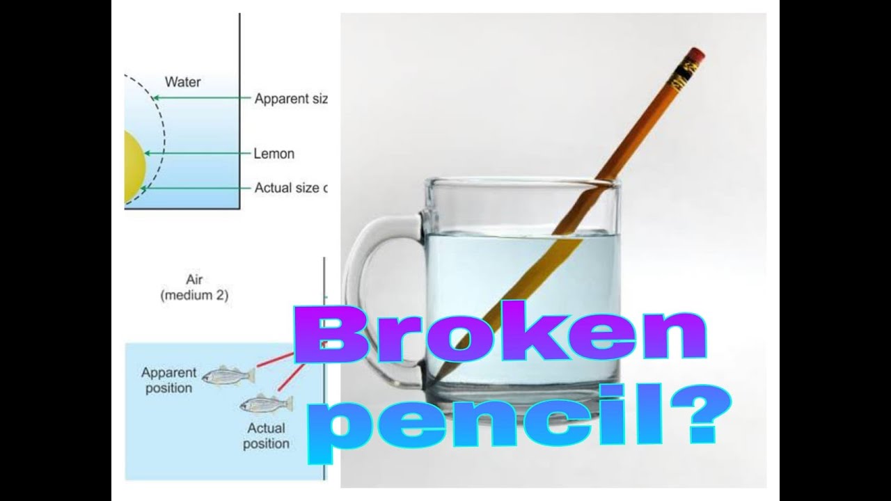 CBSE Class X Refraction & Effects, Pencil appear to be bent, Lemon ...