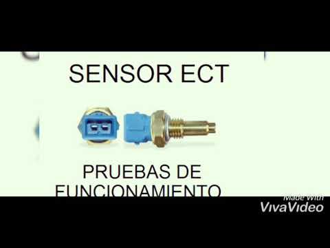 Pruebas de funcionamiento sensor ECT - YouTube