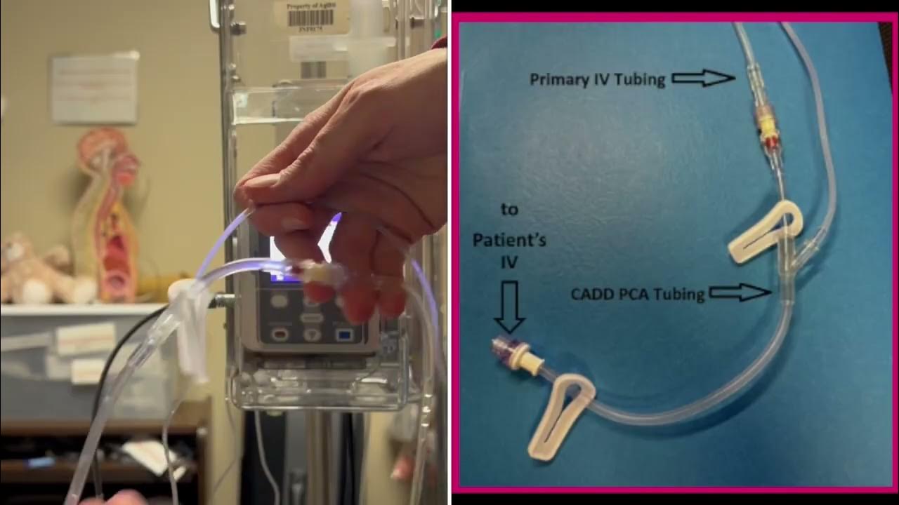 PCA Setup Instructional Video - YouTube
