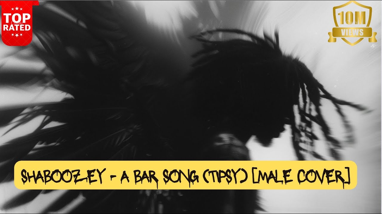 Shaboozey - A Bar Song Tipsy (Male Cover) - YouTube