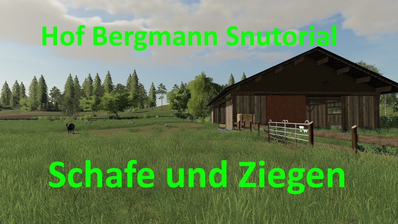 LS19 | Tutorial Hof Bergmann | Schafe und Ziegen - YouTube