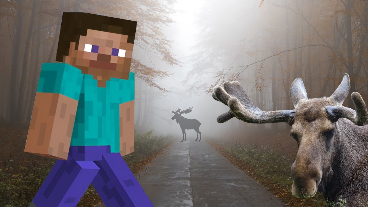 A foggy day for Minecraft...will we see a moose? (Minecraft Realms ep ...