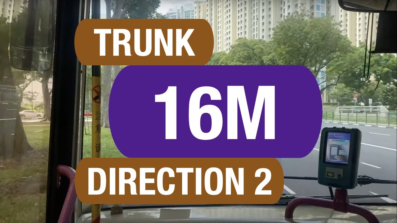 SBS Transit Trunk 16M (Direction 2) | Bus Service Route Visual - YouTube