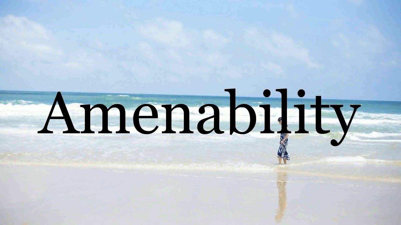 How To Pronounce Amenability🌈🌈🌈🌈🌈🌈Pronunciation Of Amenability - YouTube