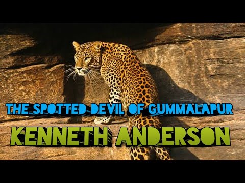 The Spotted Devil Of Gummalapur | Kenneth Anderson Book Story ...